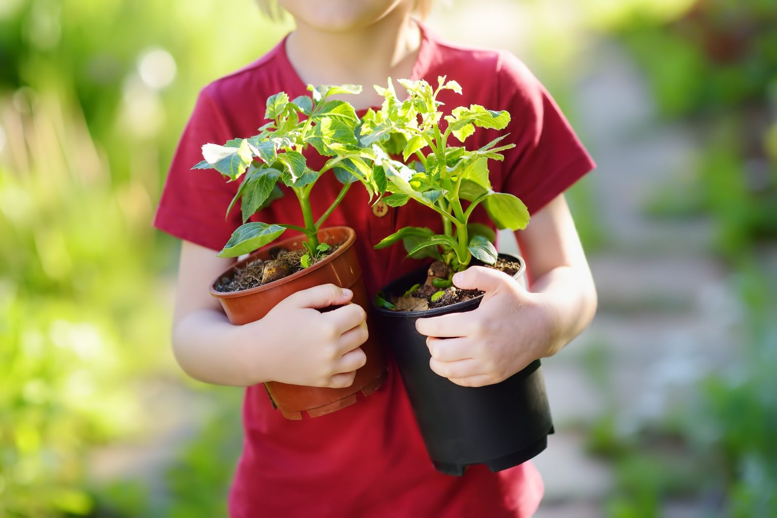 Edible Crops For Children * How To Garden - Blog & News